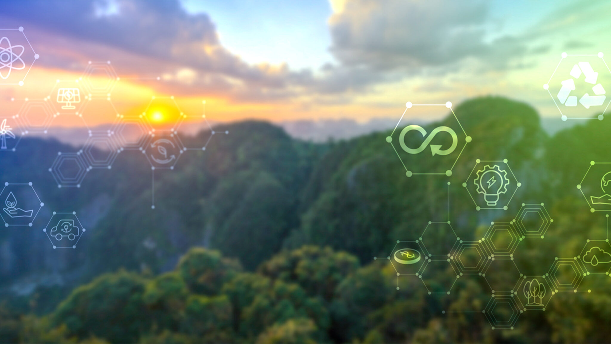 How Supply Path Optimization Creates Transparency in Programmatic ...